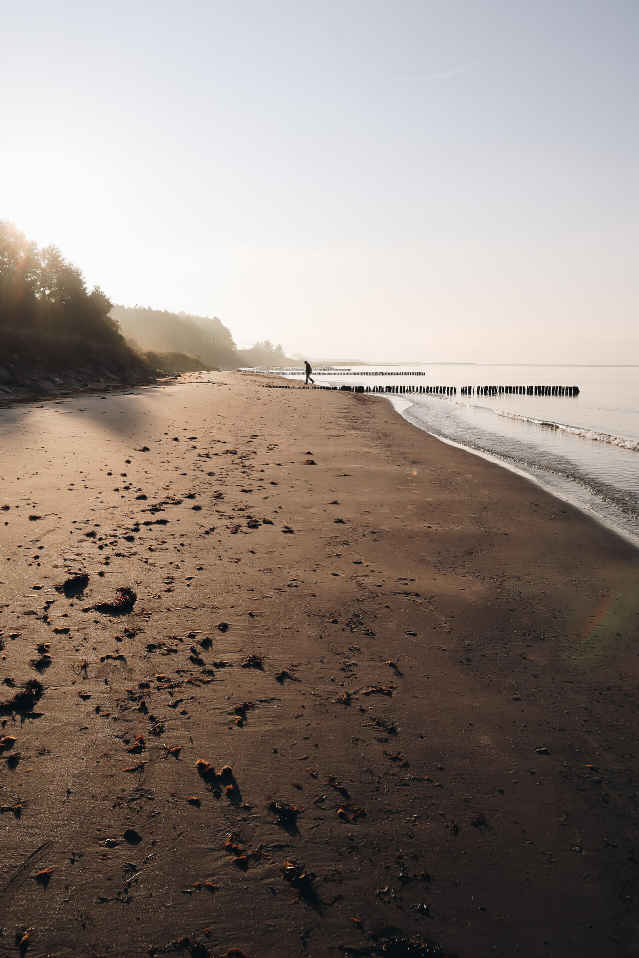 Møn - klippor, stränder och surdegsbröd - Copenklara
