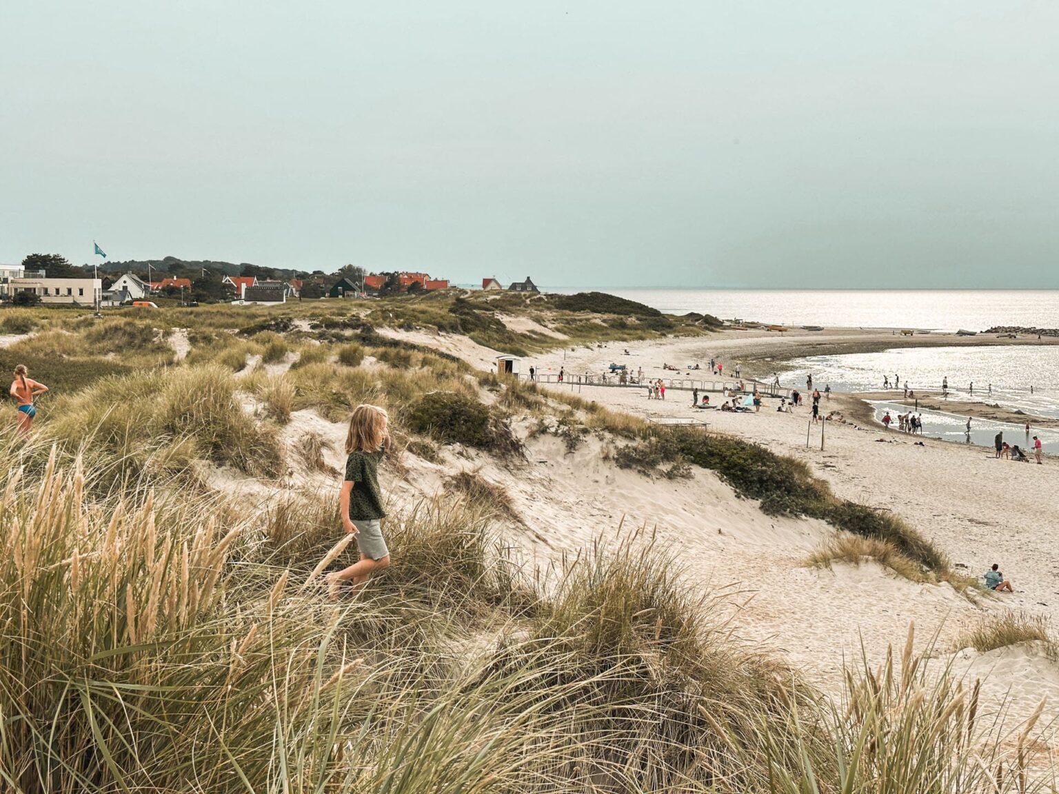 Ett dygn i campervanen på nordkusten - Copenklara